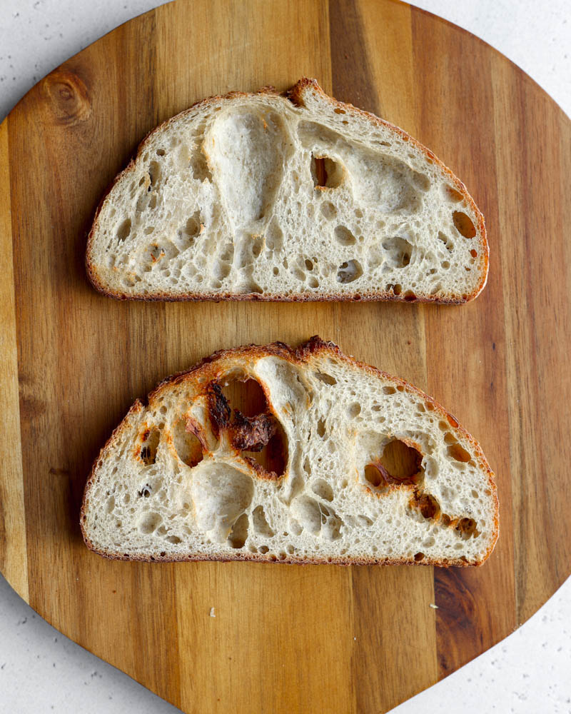 Tomato Basil Whipped Cottage Cheese Toast • Daisybeet